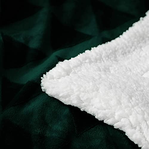 Exclusivo Mezcla 50” x 70” Large Throw Blanket, Sherpa Reversible Brushed Flannel Fleece Plush Blanket, Stylish Decorative, Lightweight, Soft and Warm Forest Green