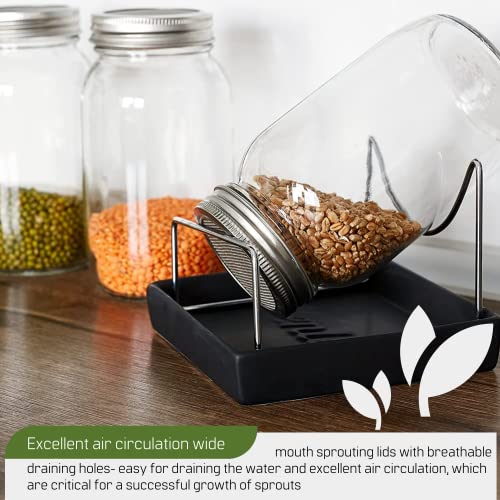 6PCS Stainless Steel Sprouting Lids β Regular Mouth Mason Jars Lids for Germination Kit 304 Stainless Steel Sprouting Jar Mesh Lids for Sprouts Grow Kit for Growing Broccoli Mung Bean Sprouts Alfalfa