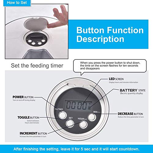 ZZK Pet Bowl pet Supplies six Grid Dog/cat pet Feeder timed Reminder Voice Dry and Wet Food LCD programmable Automatic Dispenser,A
