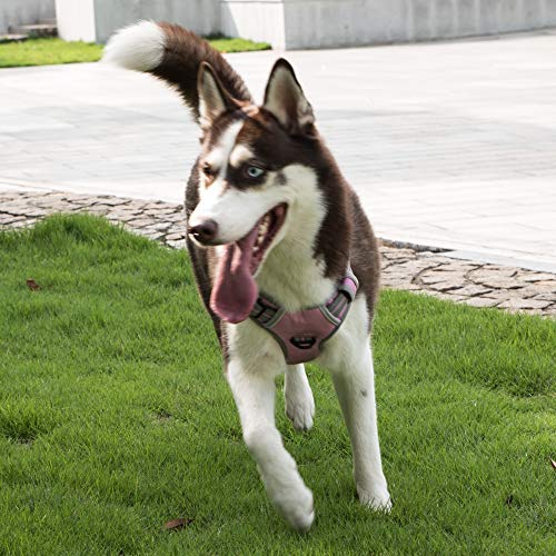 Coohom No Pull Dog Harness with Handle and Two Leash Attachments,Adjustable Outdoor Pet Harness with Reflective Oxford Material for Small Medium Large Dogs (L, Pink 3 Buckles)