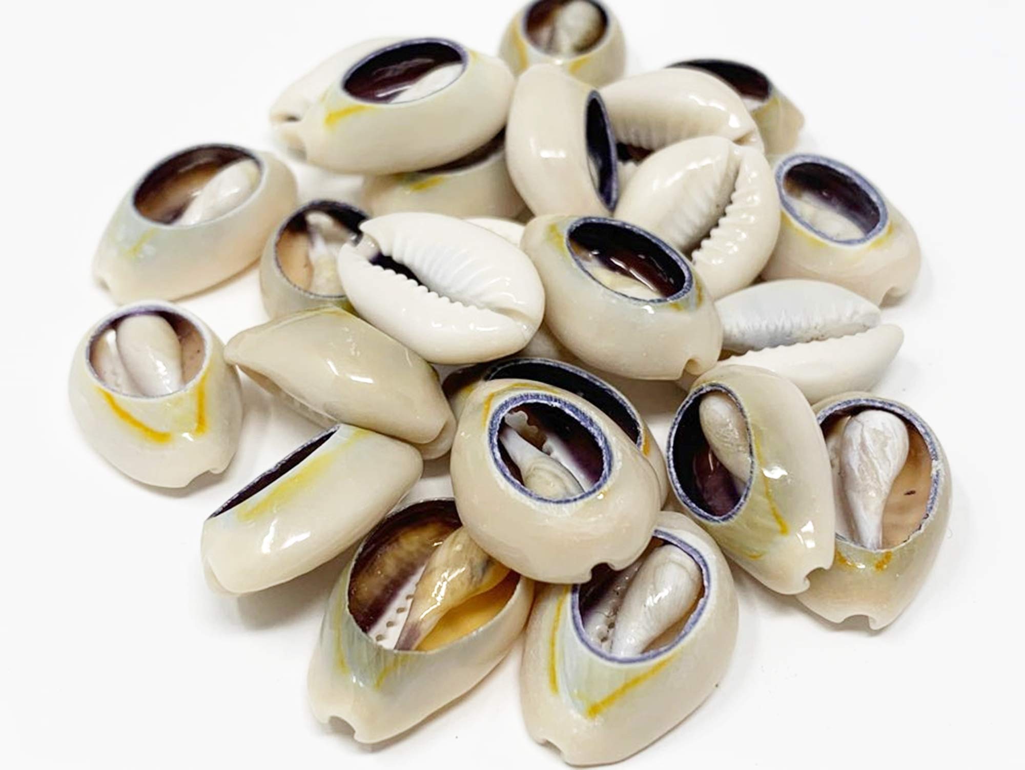 Crispy Collection Tomorrow sea shell cutted hair beads cowrie dreadlocks braid bead decoration 2packs (SHB1)