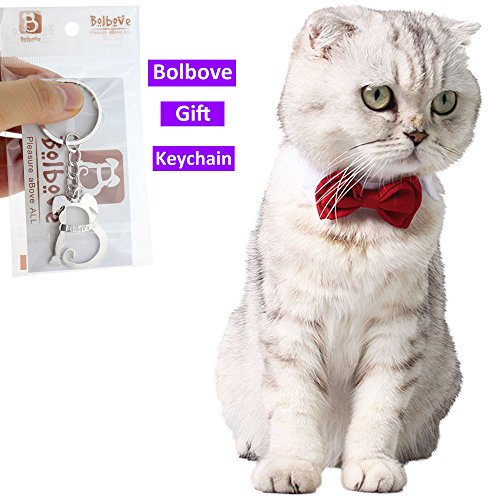 Bolbove Adjustable Formal Pet Bowtie Collar Neck Tie for Dogs & Cats (Small, Red)