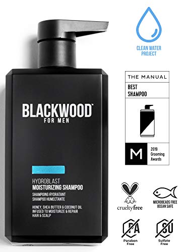 Blackwood For Men Hydroblast Moisturizing Shampoo - Shampoo for Coarse, Dry, & Curly Hair - Infused with Ginseng & Ginger - Natural Vegan Formula - Sulfate Free, Paraben Free, & Cruelty Free (8.92 Oz)