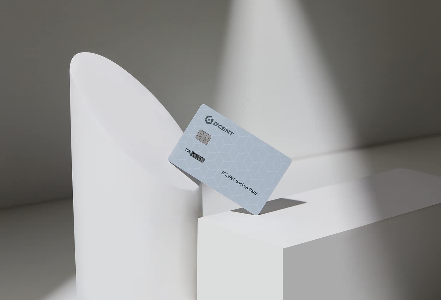 D'CENT Backup Card