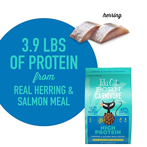 Tiki Cat Born Carnivore High Protein, Herring & Salmon Meal, Grain-Free Baked Kibble to Maximize Nutrients, Dry Cat Food, 5.6 lbs. Bag