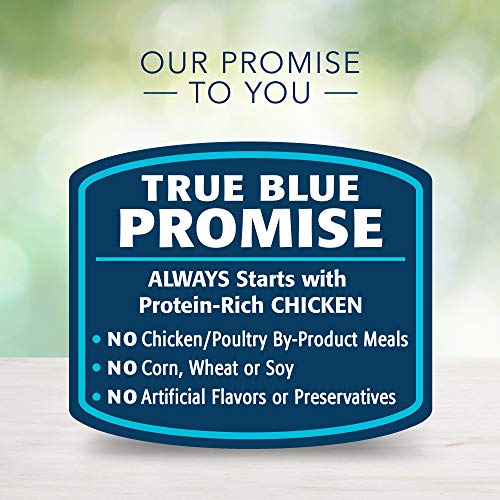 Blue Buffalo Freedom Grain Free Natural Puppy Wet Dog Food, Chicken 12.5oz cans (Pack of 12)
