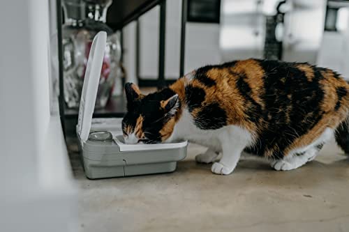 Cat Mate C200 2 Meal Automatic Pet Feeder for Cats and Small Dogs with Ice Pack