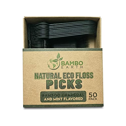 Natural Dental Floss Picks - Eco Friendly Cruelty Free & Vegan Tooth Flossers Pick Set with Biodegradable and Compostable BPA Free Handle & Zero Waste Packaging - 200 Pack (Bamboo Charcoal Flavored)