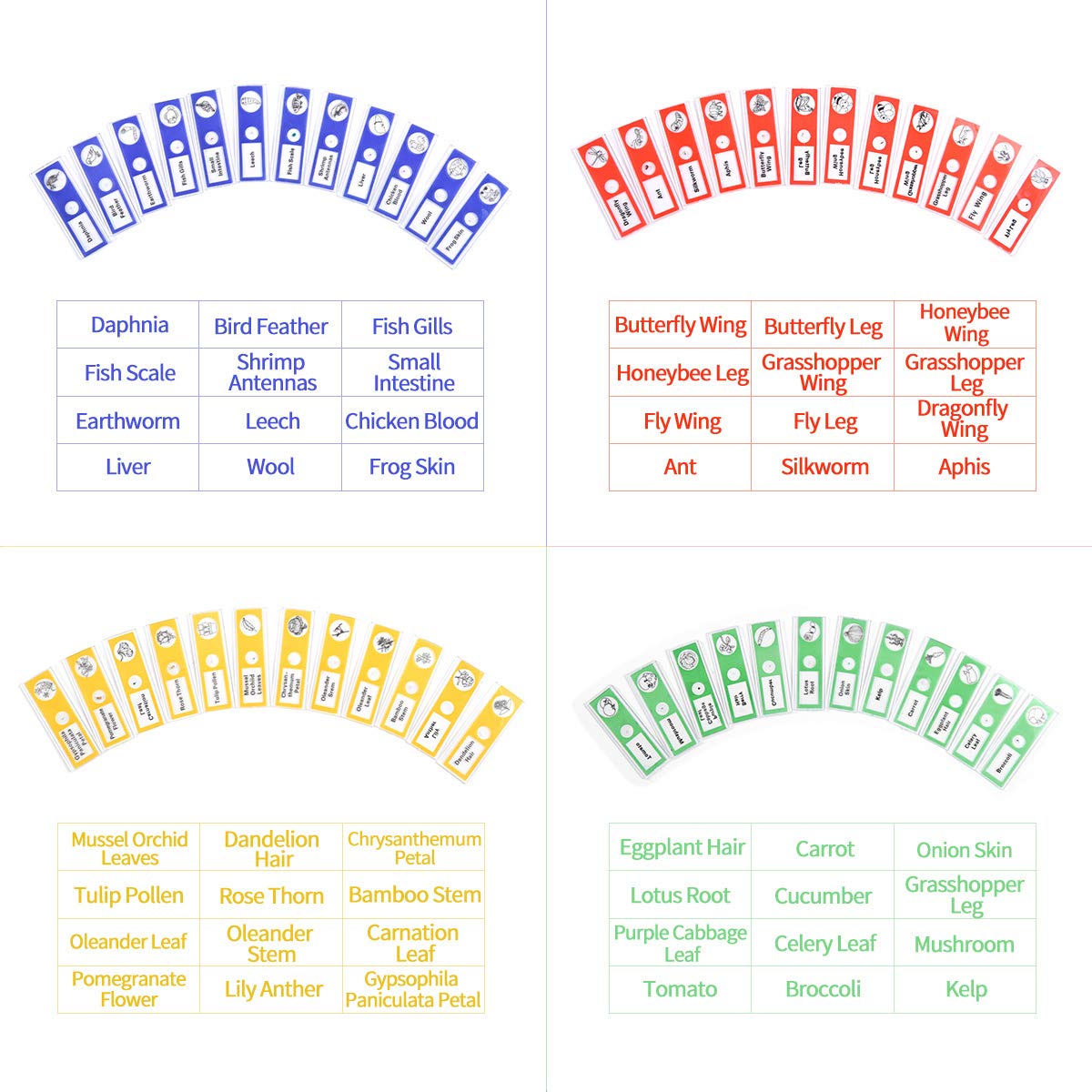 Plastic Prepared Microscope Slides for Kids, Cainda 48pcs Animals Insects Plants Flowers Sample Microscope Slides with Specimens for Students Adult Biology Science Programs