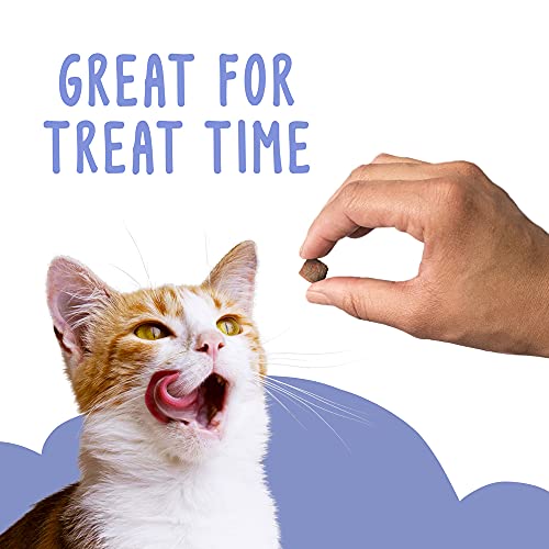 Friskies Party Mix Crunch Gravy-Licious Turkey & Gravy Treats (Pack of 2)