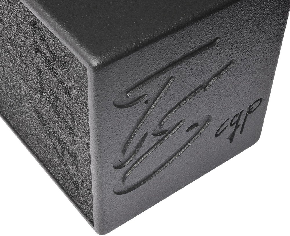 AER Tommy Emmanuel Signature Compact 60/3 60W 1x8 Acoustic Guitar Combo Amp
