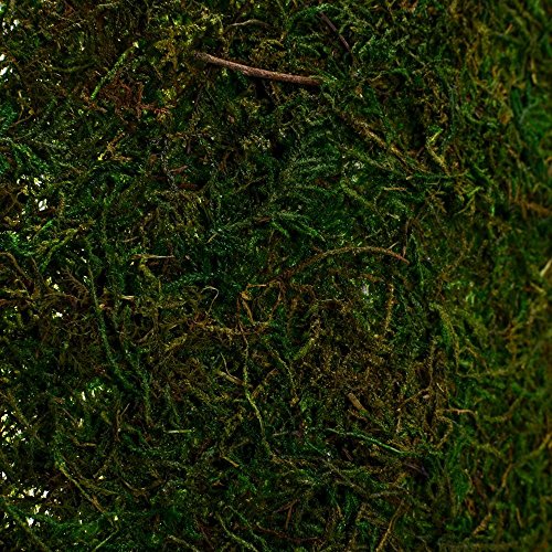 Byher Dried Moss Table Runner for Party Garden Decoration, Dark Green 30cm X 180cm ( 12" x 71" )