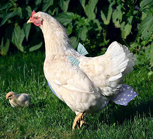 KAMA BRIDAL Chicken Diaper, Pet Diaper for Chook Duck Goose Adjustable Washable Reusable Diaper for Poultry 2 Pack