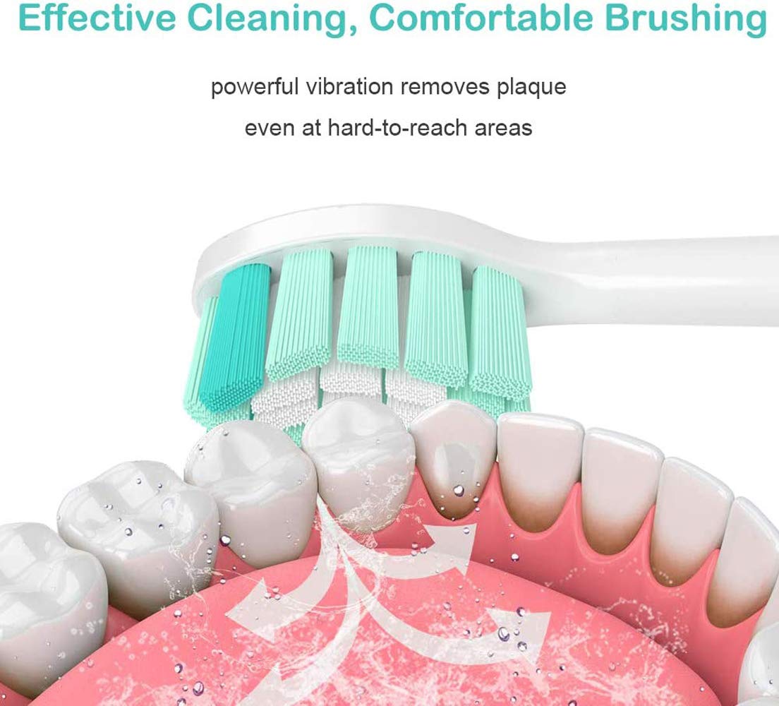 DHMXDC Electric Toothbrush Brush Head x 4 and Hygienic Cap for Models of DHMXDC Sonic Toothbrushes