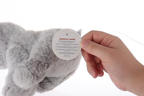 Apricot Lamb Toys Plush Gray Plush Koala Stuffed Animal Soft Cuddly Perfect for Child (Gray Plush Koala, 8 Inches)