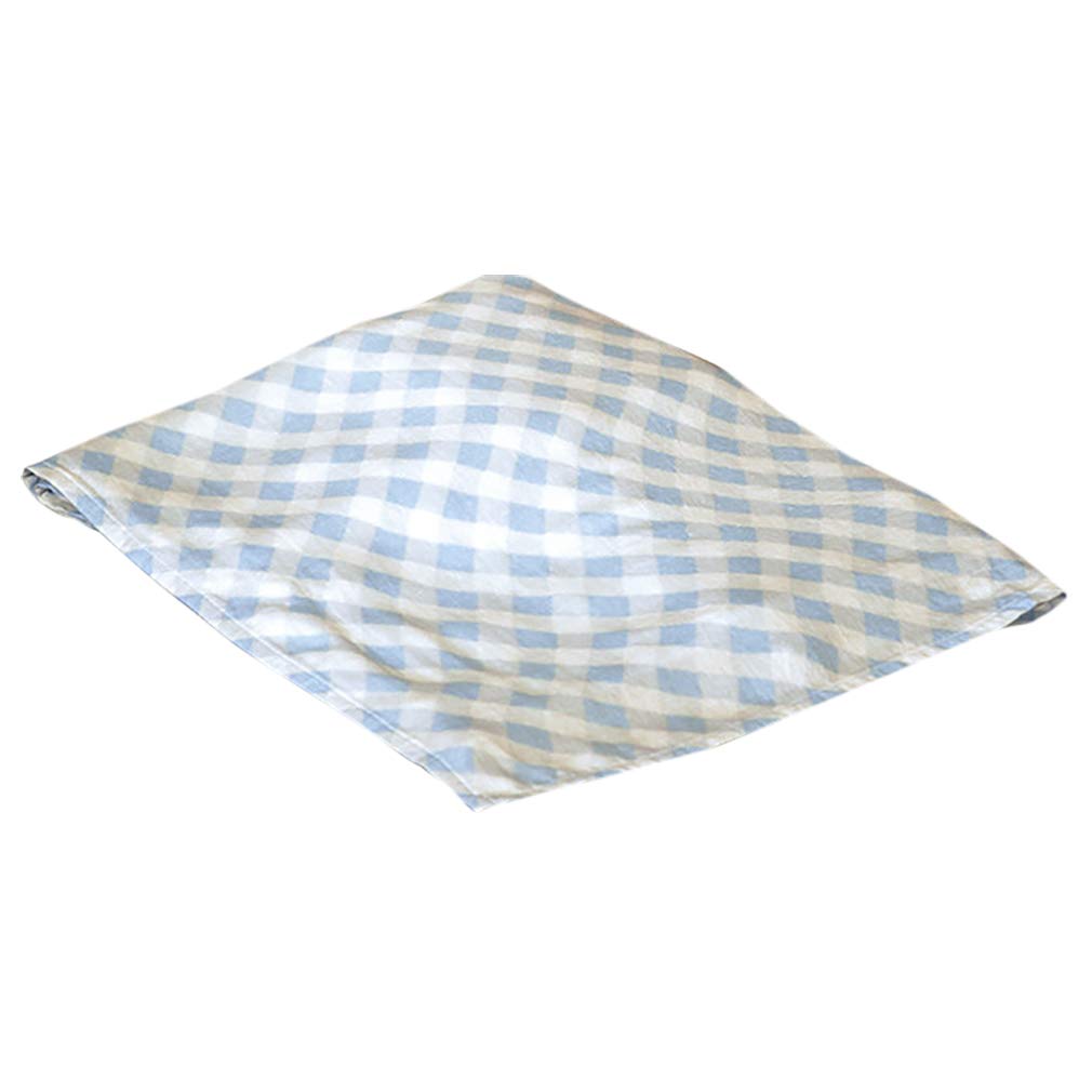 Applesauce Rayon Swaddle Blanket, Blue Gingham