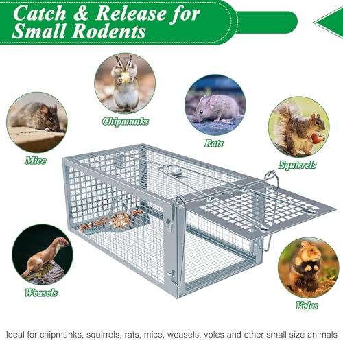 2 Packs Humane Rat Trap Outdoor Mouse Traps Indoor Use, Rodent Chipmunk Traps for Small Live Animal Catch and Release