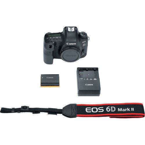 Canon EOS 6D Mark II DSLR Body - with Canon BG-E21 Battery Grip + Professional Accessory Bundle (14 Items)