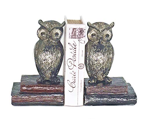 Bellaa 21725 Decorative Bookends Owl Wide Eyed Rustic Retro Shabby Chic Unique Book Ends Birds Boho Farmhouse Home Decoration Office Library Shelves Stoppers Holder Nonskid Scholastic Kids Vintage