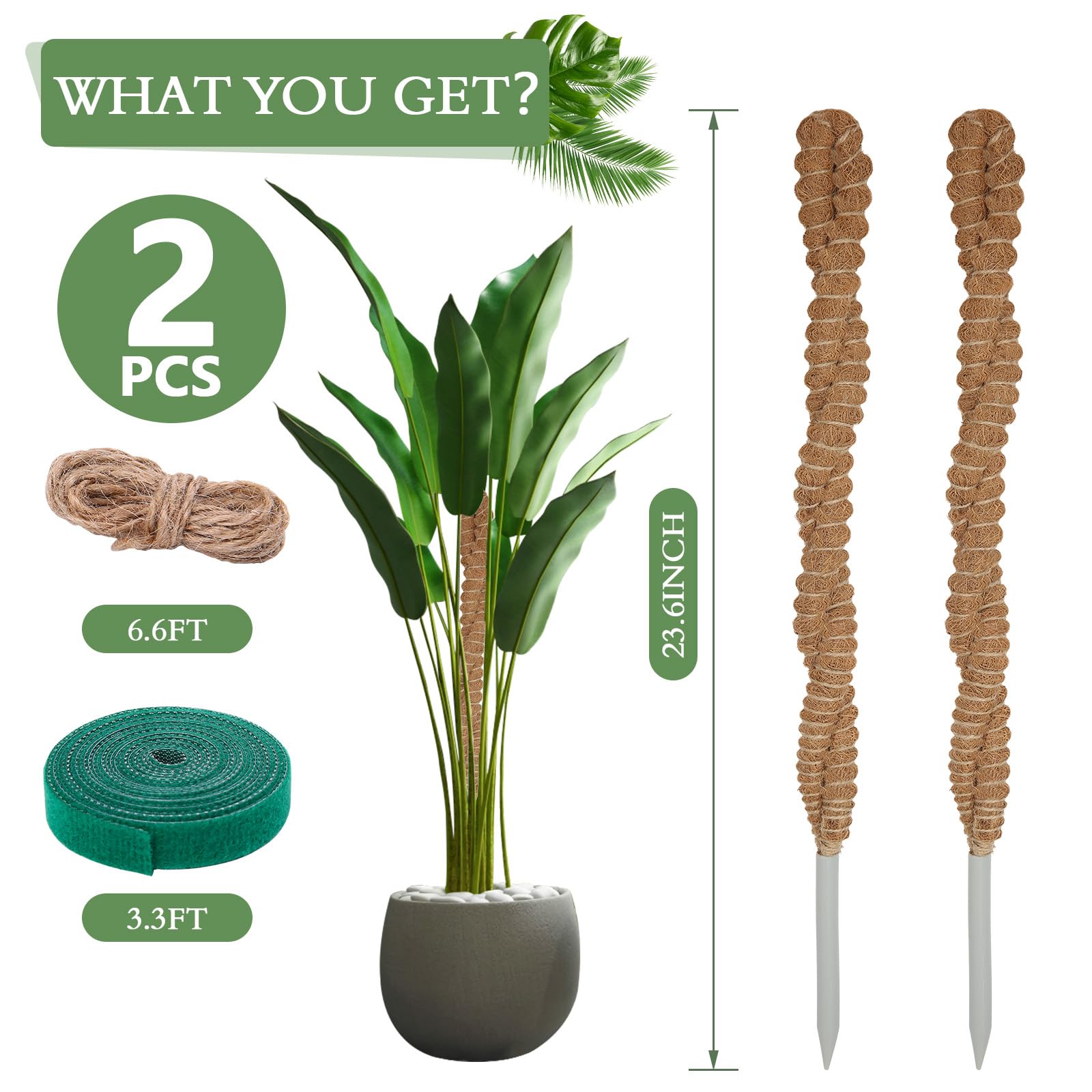 2 Pack 25 Inch Coco Coir Moss Poles for Climbing Indoor Plants - Handmade Plant Support for Creepers to Grow Upwards