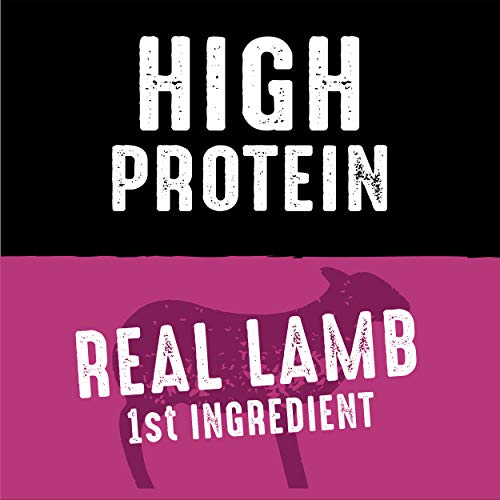 CRAVE Grain Free High Protein Adult Dry Dog Food with Lamb, 22 lb. Bag