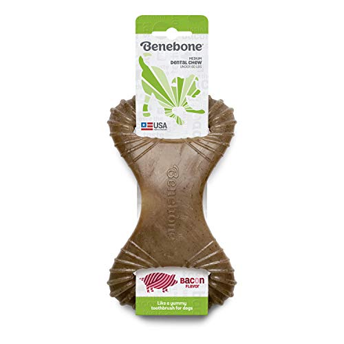 Benebone Dental Durable Dog Chew Toy for Aggressive Chewers, Real Bacon, Made in USA, Medium