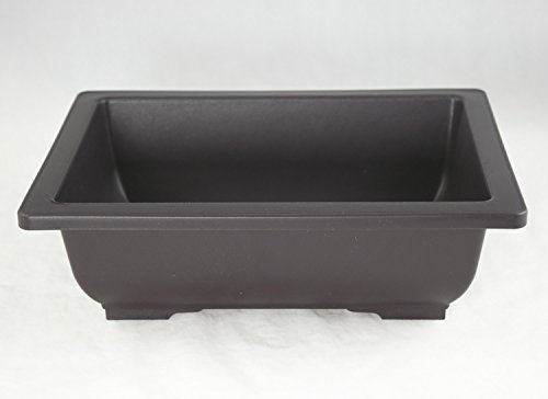 2 Rectangular Plastic Bonsai/Cactus & Succulent Pot 10"x 7.5"x 3" Dark Brown