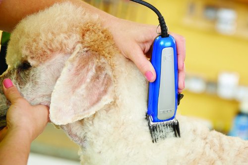 Andis EasyClip Ultra Adjustable Blade Clipper Kit, Pet Grooming, RACA (60165)