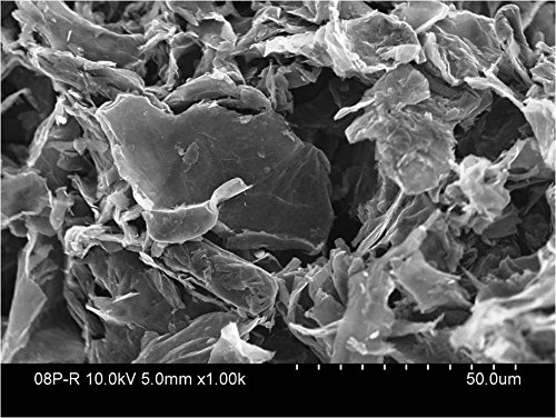 Angstron Materials N008-P-40 Graphene Powder, 10 g