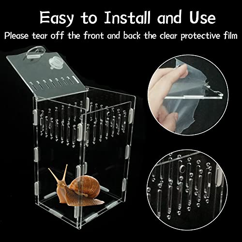 5x4x8 inch Magnetic Acrylic Reptile Case, Vertical Transparent Tarantula Enclosure Tank, Micro Habitat Terrariums Suitable Insect, Snails, Hermit Crabs, Lizards, Frogs, clear, Vertical:5x4x8(LxWxh)in