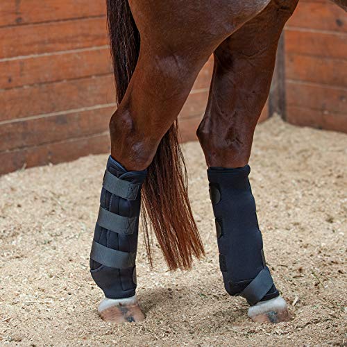 Classic Equine Ice Boots, Small