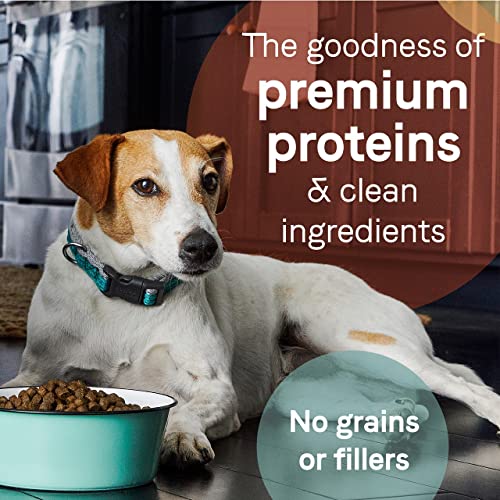 Canidae Pure Real Bison, Lentil & Carrot Recipe Adult Dry Dog 21 LB