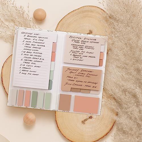 Aesthetic Pastel Sticky Notes Set of 528 with Tabs - Incl. Sturdy Cover to Keep Your Notes Safe - Cute School Accessories, College, Students, Teachers or Office Desk Supplies for Women