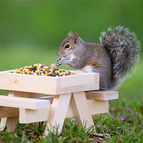 Audubon Park Critter Crunch Backyard Wildlife Food, Bird and Squirrel Food for Outside Feeder, 5-Pound Bag