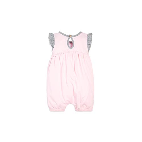 Burt's Bees Baby baby girls Rompers, of 2 Bubbles, One Piece Jumpsuits, 100% Organic Cotton Layette Set, Blossom Multi Stripe, 18 Months US