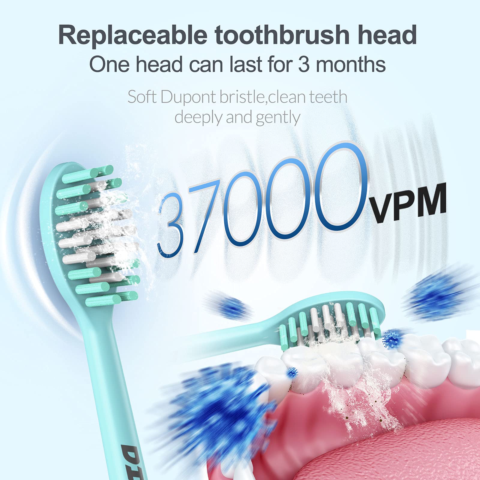 Sonic Electric Toothbrush, 3 Modes Rechargeable Tooth Brush with 8 Dupont Bristles, Smart Timer, Whitening Electric Toothbrushes for Adults and Kids (Green)