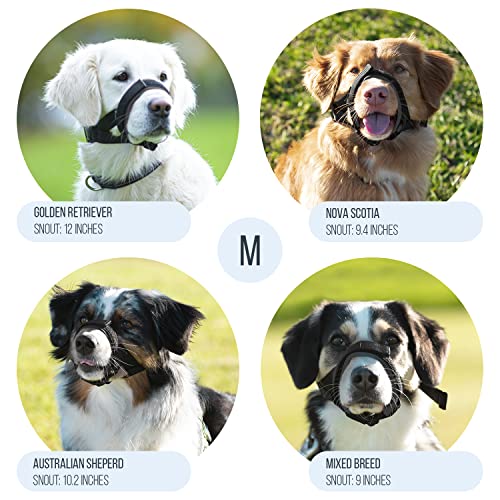 Gentle Muzzle Guard for Dogs - Prevents Biting and Unwanted Chewing Safely Secure Comfort Fit - Soft Neoprene Padding – No More Chafing – Training Guide Helps Build Bonds with Pet (M, Grey)