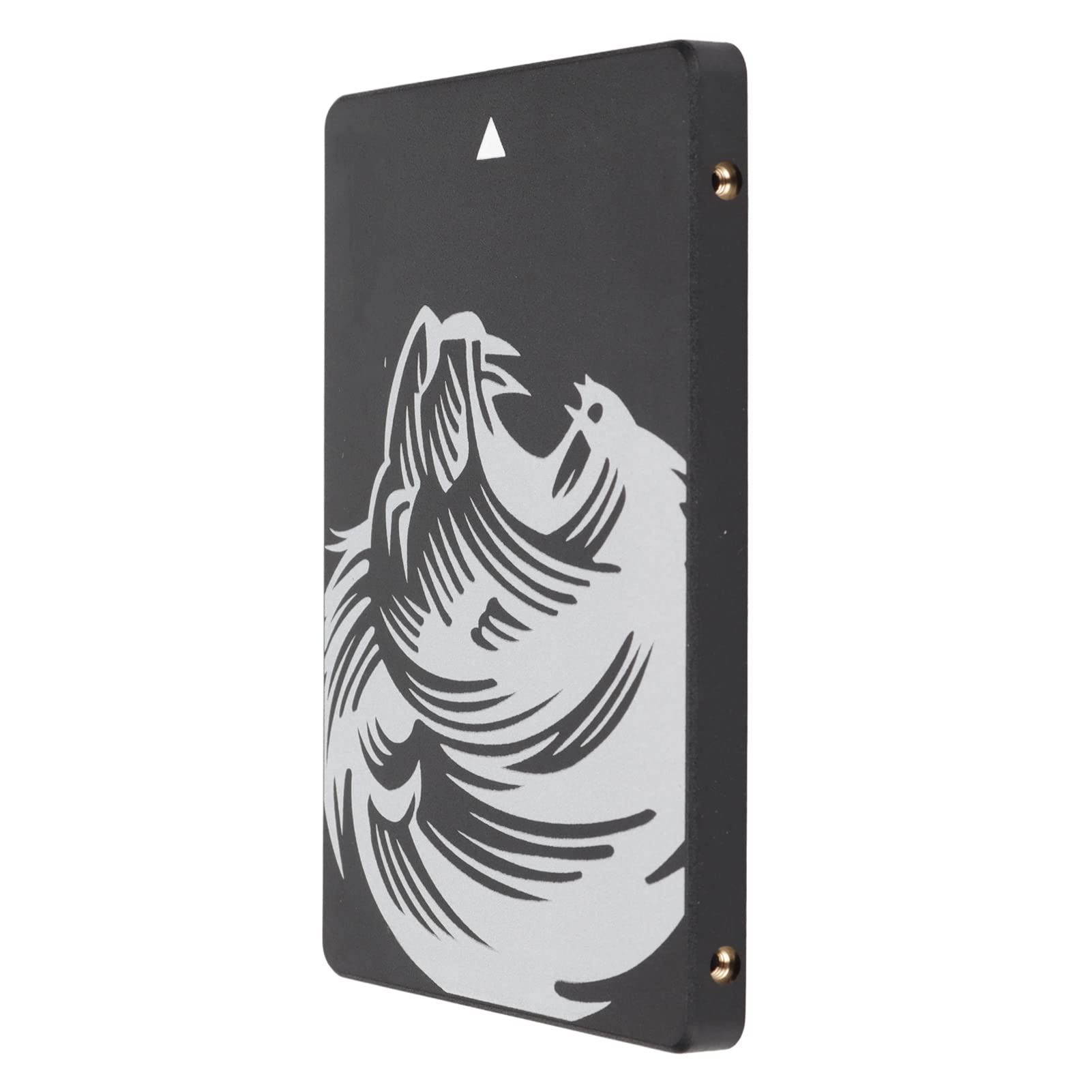 2.5 inch SSD, Portable Ultra Low Power CMOS Process SSD for Desktop Computer for