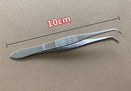 2 PCS 4 Inch Professional Stainless Steel Dental Straight Forceps and Curved Tip Tweezers Multifunction Eyebrow Cosmetic Tools DIY Accessories Extractor Clamp