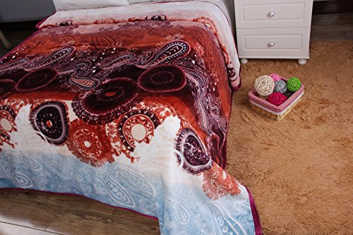 DaDa Bedding Flannel Faux Mink Fleece Throw Blanket - Bohemian Paisley Dreams Silky Soft - Bright Vibrant Floral - Multi Colorful Red Burgundy & Blue - 66" x 90"