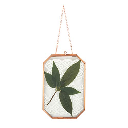 NCYP Wall Hanging 4X6 Inches Octagon Rose Gold Glass Frame for Pressed Dried Flowers, Handmade Double Glass Pure Copper Herbarium Frame, Floating Frame Style, Glass Frame Only
