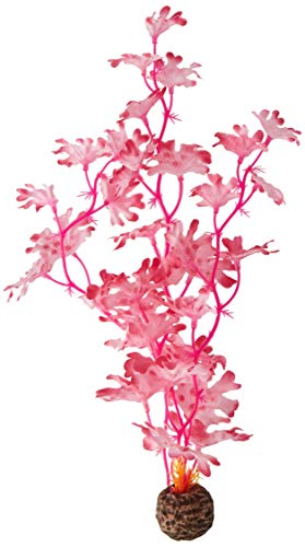 biOrb 46082.0 Kelp Set Medium Pink Aquariums