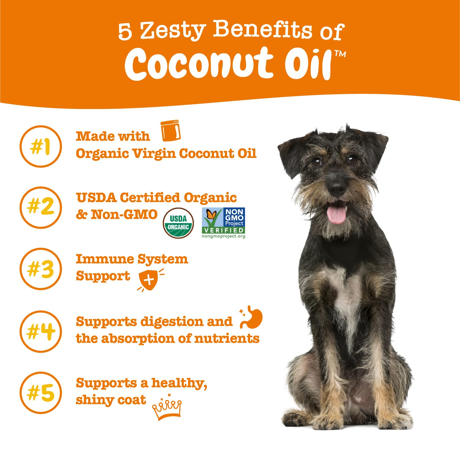 Coconut Oil for Dogs - Certified Organic & Virgin Superfood Supplement - Digestive & Immune Support - 16 OZ