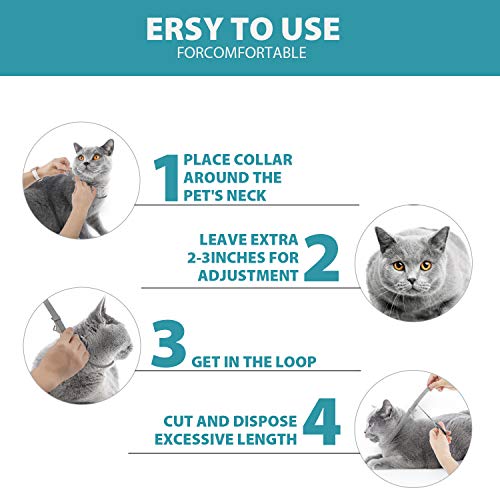 Flea and Tick Collar for Cats,8 Month Flea and Tick Treatment and Prevention for All Sizs Cats,Adjustable and Waterproof,100% Natural Ingredients,Include Tick Removal Tools,2 Pack