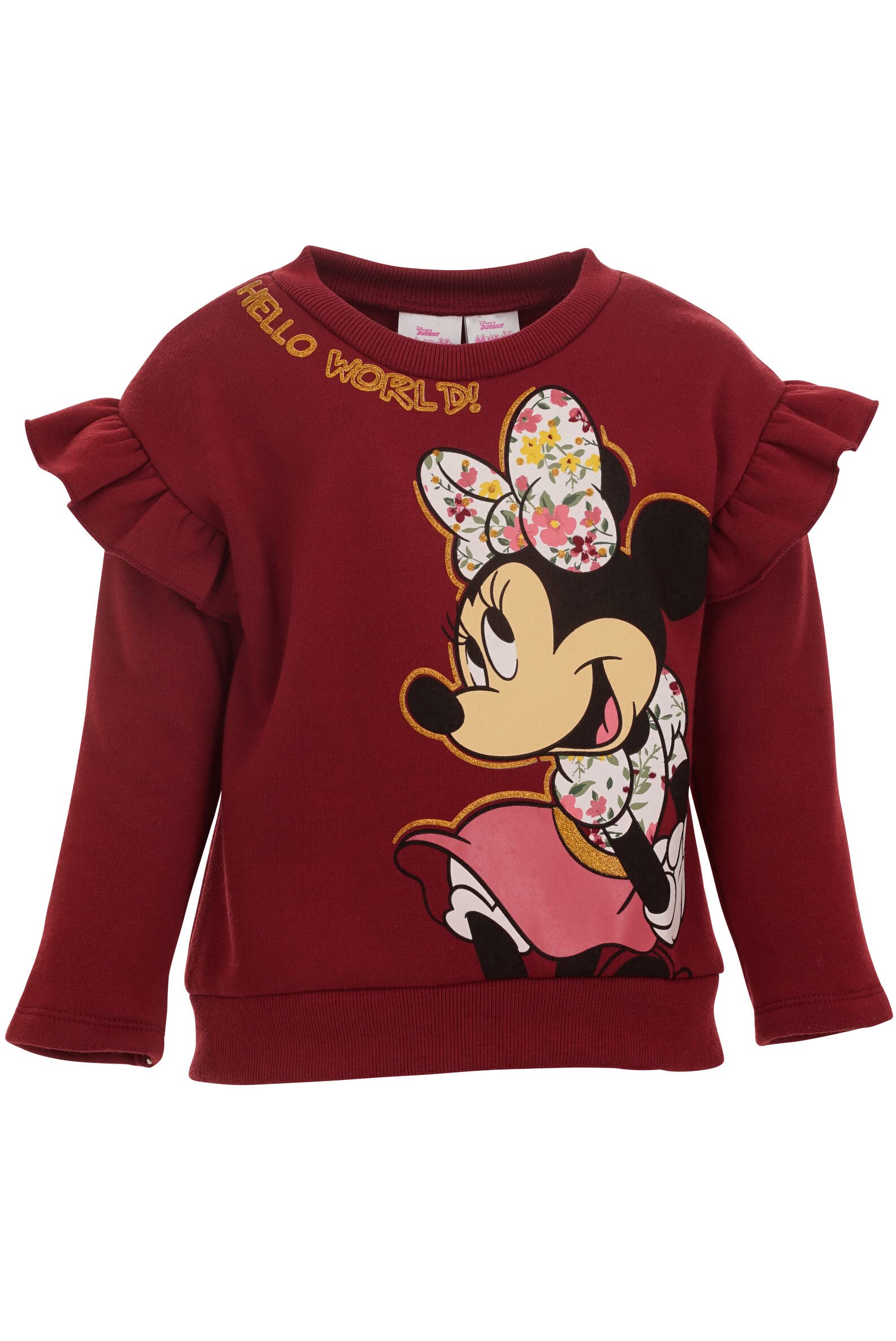 Disney Minnie Mouse Infant Baby Girls Pullover Fleece Sweatshirt and Leggings Outfit Set Multicolor 18 Months