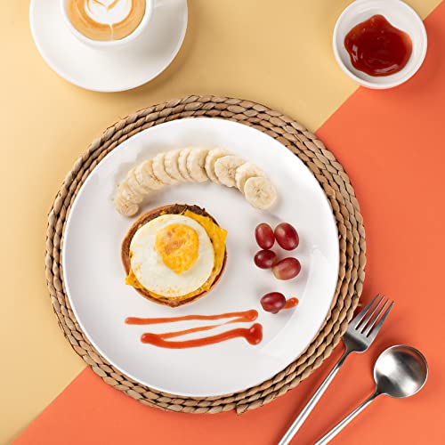 DELLING 10 inch White Dinner Plates Set, Porcelain Dessert/Salad Plate, Serving Dishes, Dinnerware Sets, Scratch Resistant, Lead-Free, Microwave, Oven, and Dishwasher Safe - Set of 4