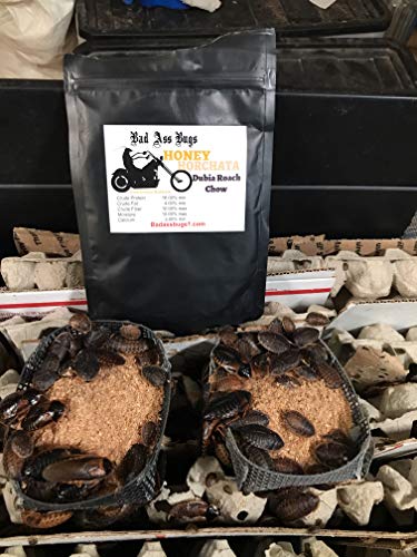 BadAssBugs™ 2LB Dubia Roach Chow Honey Horchata