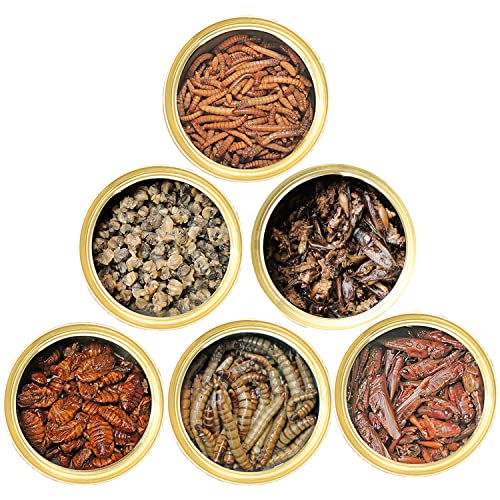 Canned Insect Assortment 6 Pack - Healthy High Protein Treat - For Hedgehogs, Sugar Gliders, Reptiles, Chickens, Lizards, Bearded Dragons, Turtles, Fish, Birds, Opossums, Skunks and other Insectivores