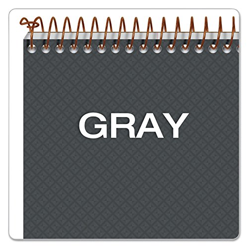 Ampad Gold Fibre Steno Book, 6" x 9", Gregg Rule, Gray Cover, 100 Sheets (20-808R)