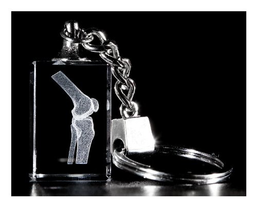 Blue Tree Publishing Knee Joint 3d Laser Key Chain Crystal, Anatomy, Bone, Physical Therapy Sports